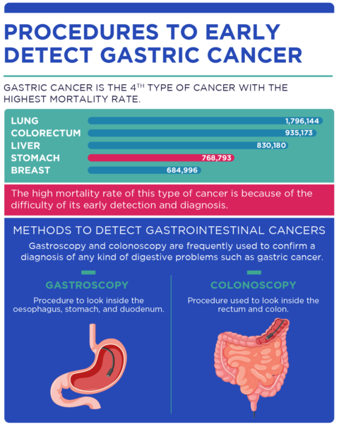 Gastroscopy and colonoscopy: key procedures to early detect gastric ...