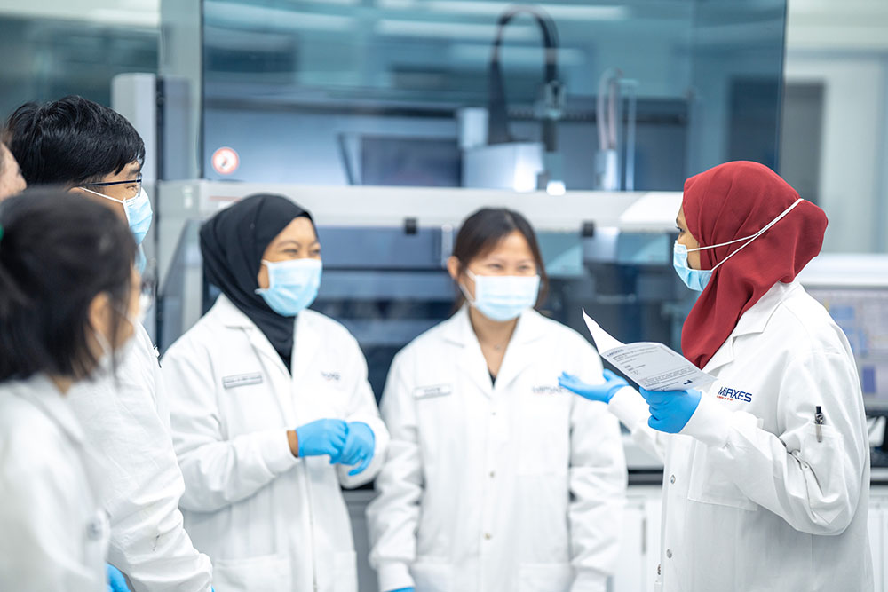 Leveling up with Mirxes - Mirxes